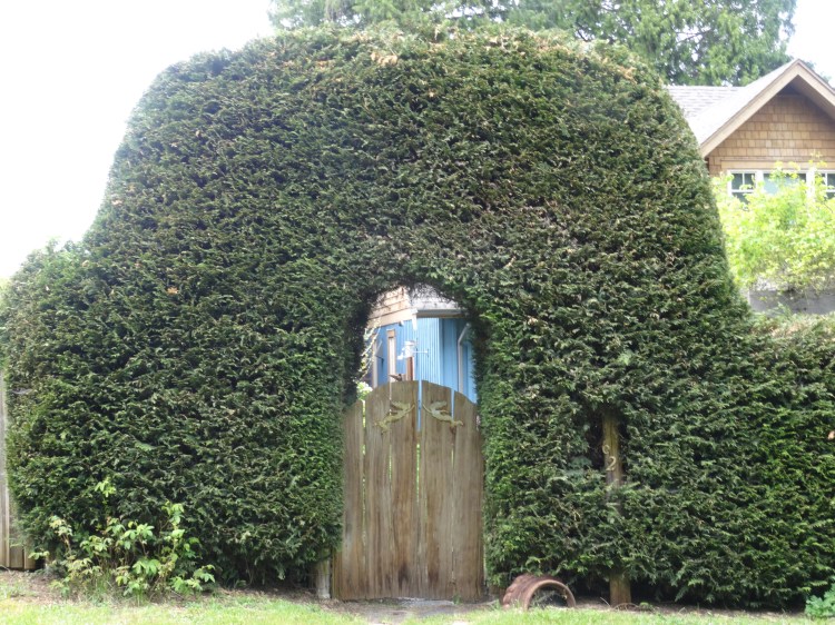 The Gates of Protection Island – Crone Confidence