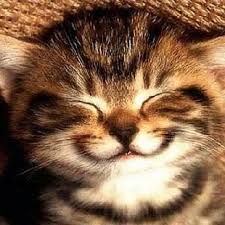 Smile – Crone Confidence