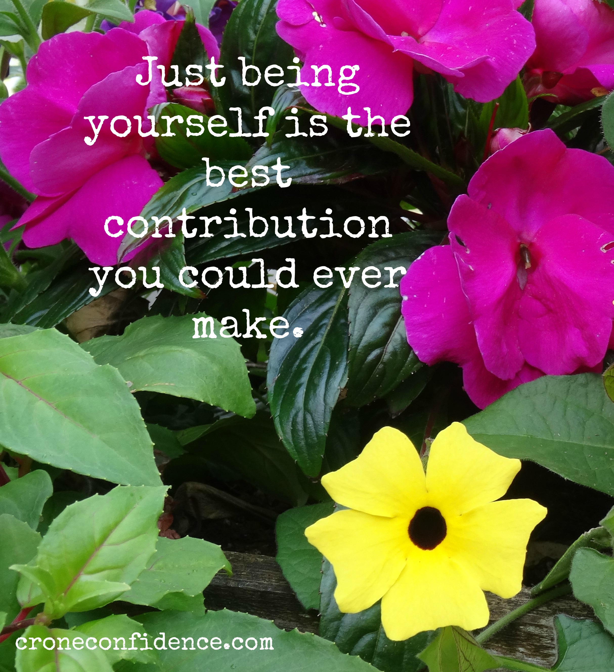 The Best Contribution You Could Ever Make – Crone Confidence