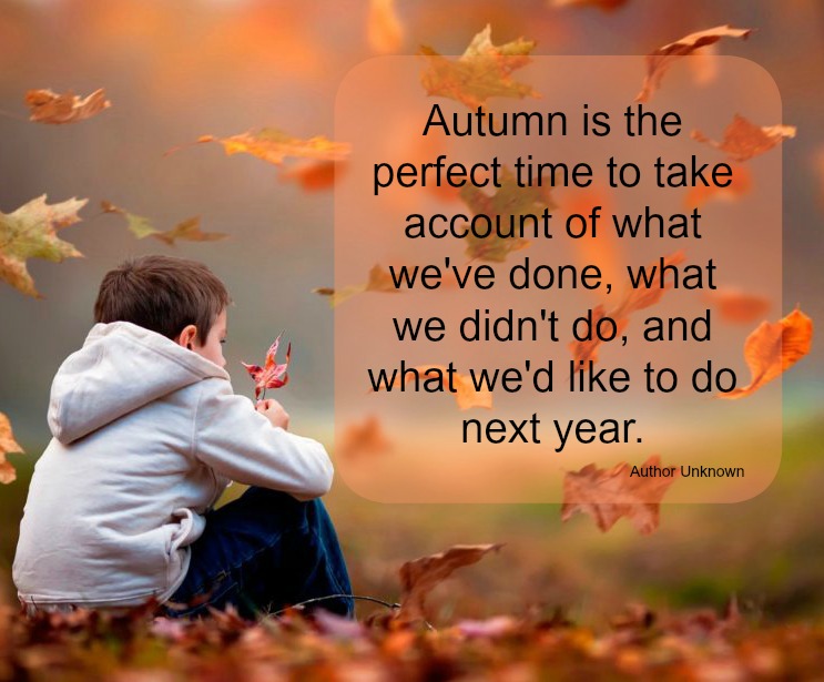 Equinoxing Your Life – 3 Tips To Get More Out Of Autumn – Crone Confidence