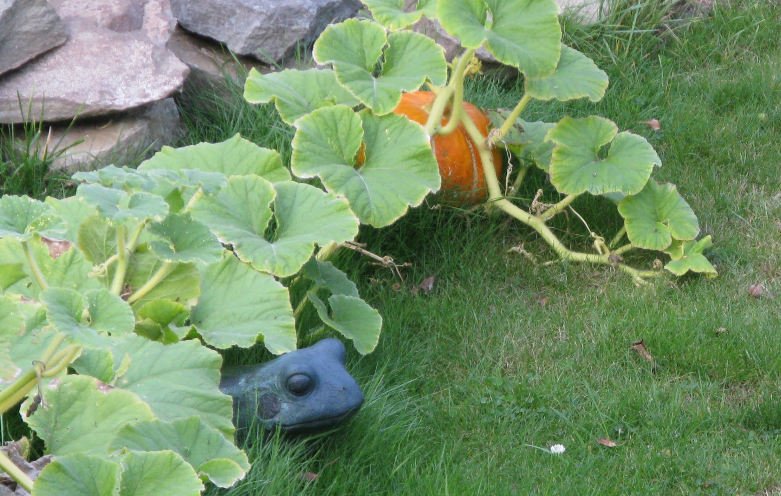 Equinoxing Your Life – 3 Tips To Get More Out Of Autumn – Crone Confidence